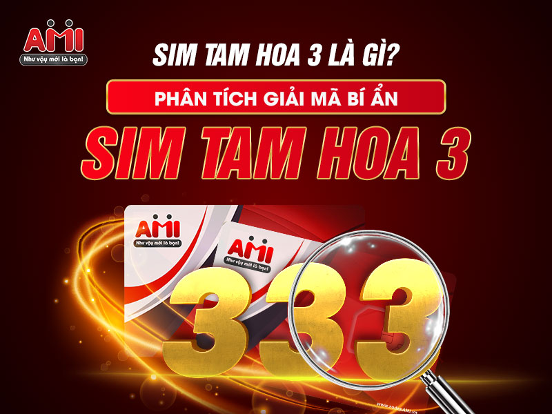 Sim Tam Hoa 3 Là Gì? Phân Tích Giải Mã Bí Ẩn Sim Tam Hoa 3